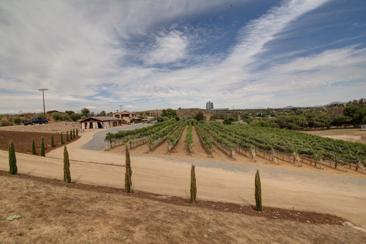 The Estate | Cheval Winery